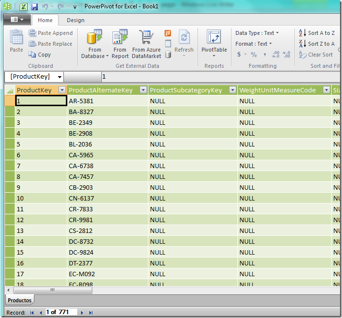 Importando A PowerPivot (II). Copiar Y Pegar | Visionarios